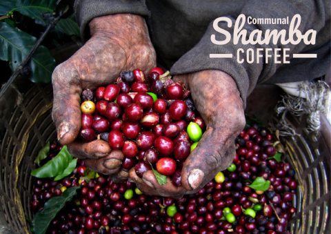 Communal Shamba Coffee - Cross and Co Creative